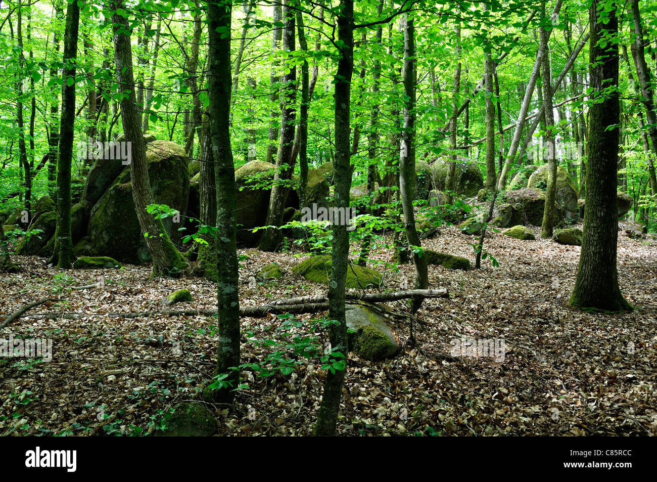 Megalithic rocks hi-res stock photography and images - Alamy