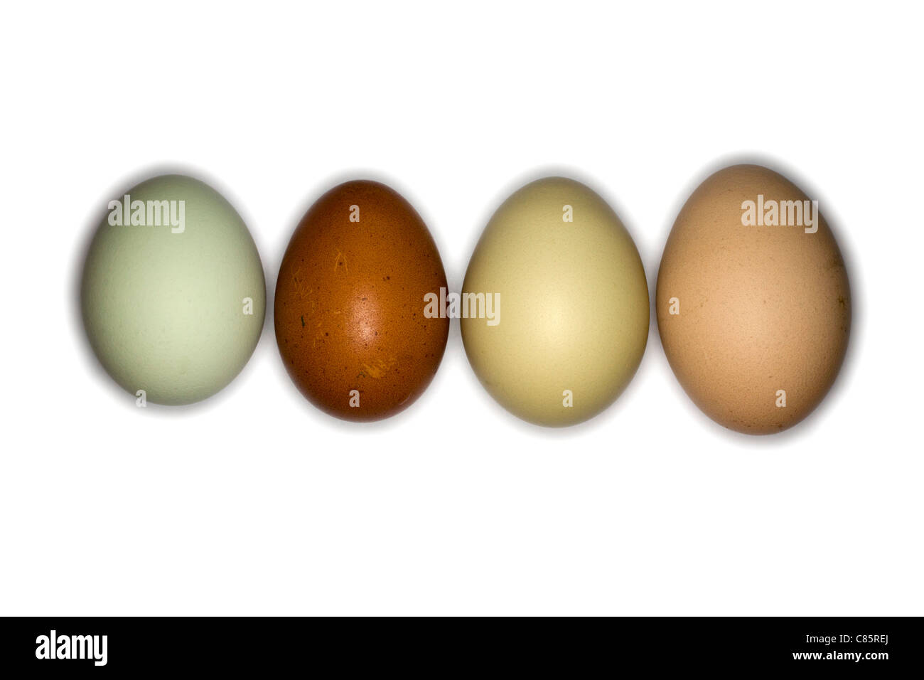 Coloured chicken eggs hi-res stock photography and images - Alamy
