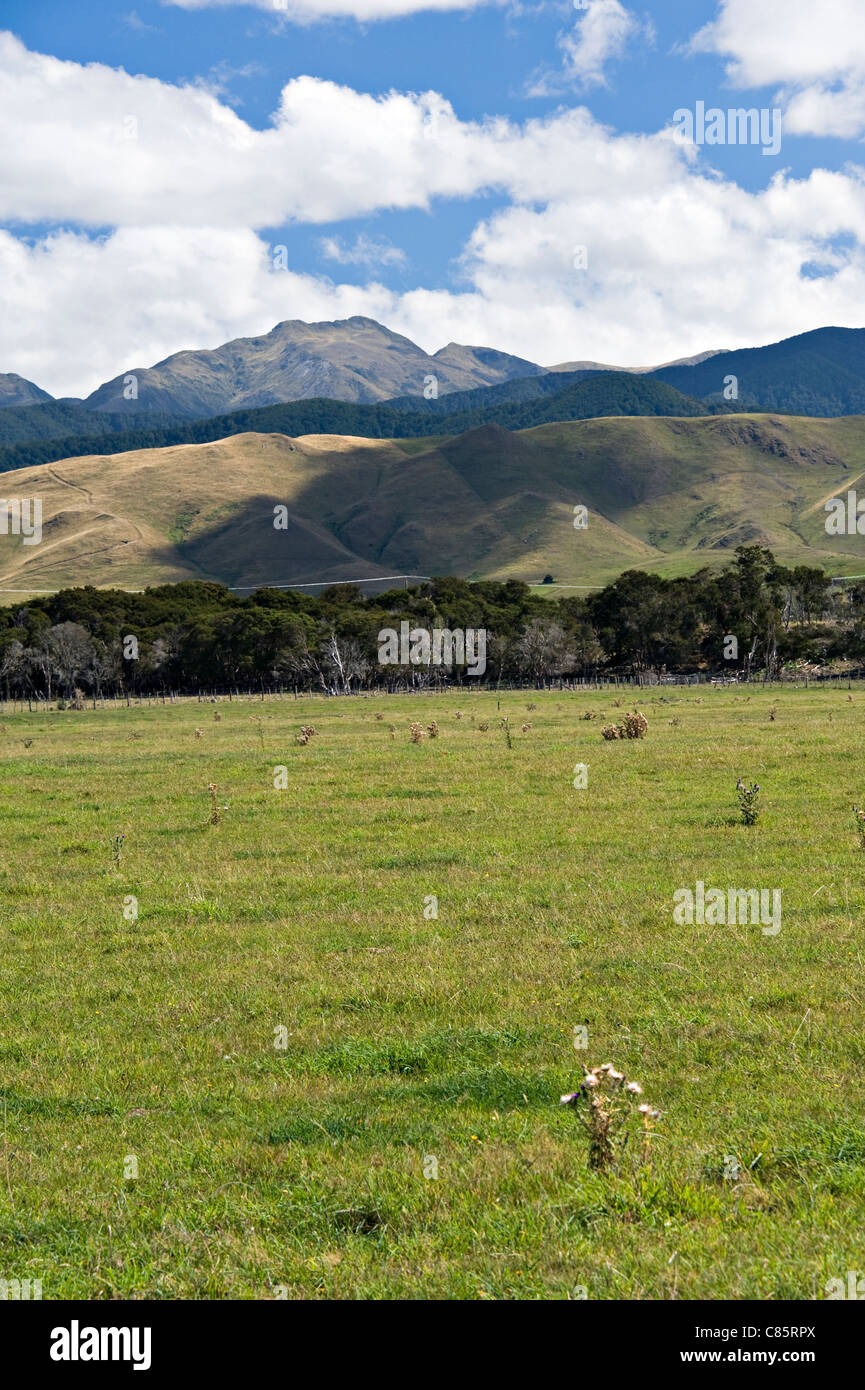 The Tararua Mountain Range and Meadowland near Mount Bruce North Island ...