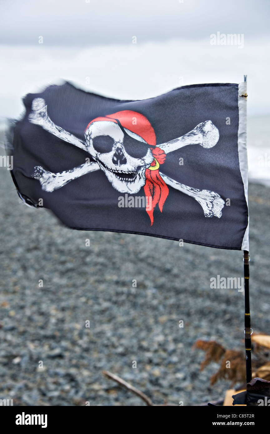 Pirate Flag Twitch Alerts, Animated Pirate Flag, Skull, Jolly Roger,