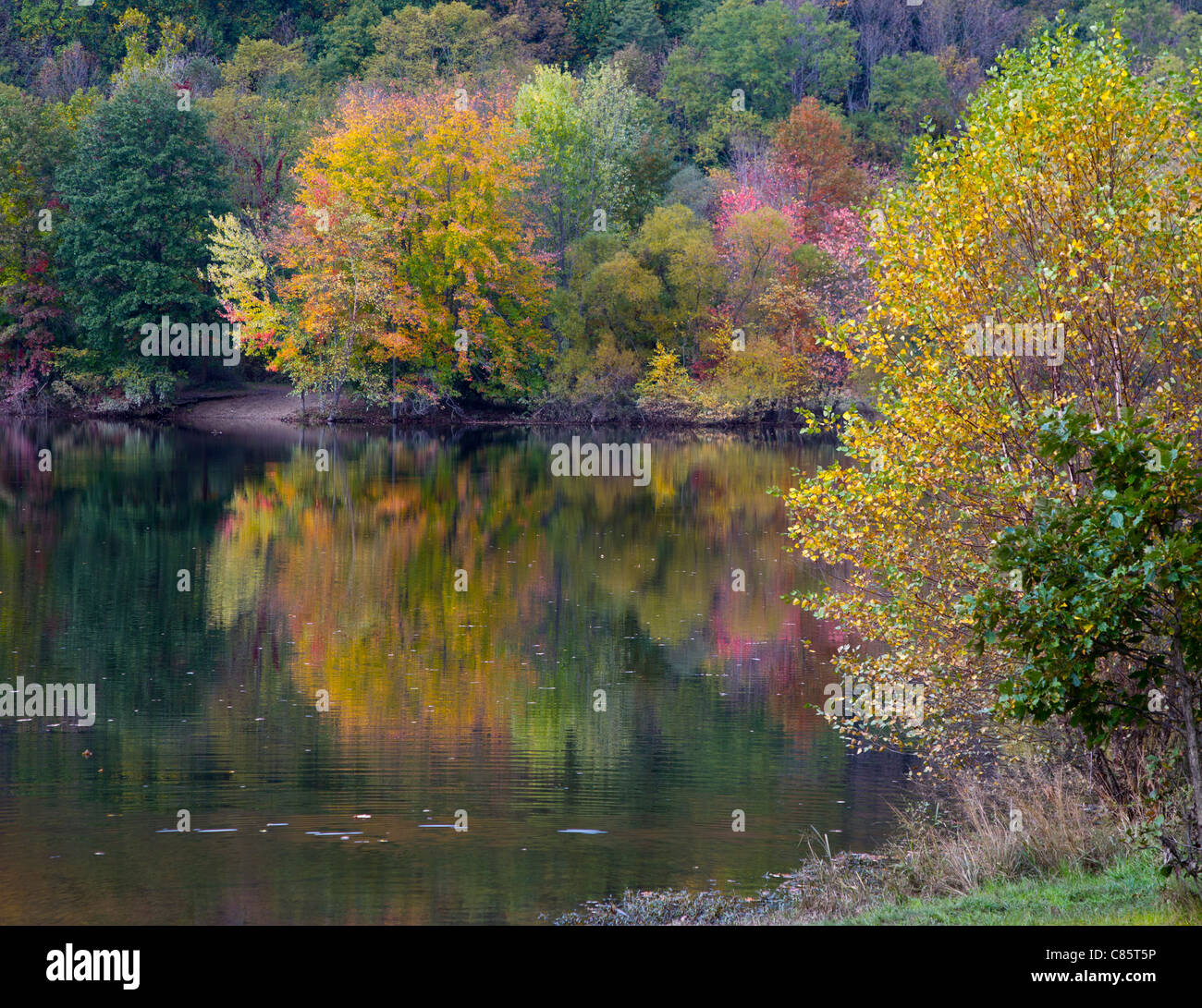 Fall trees and their reflection on lake hi-res stock photography and ...