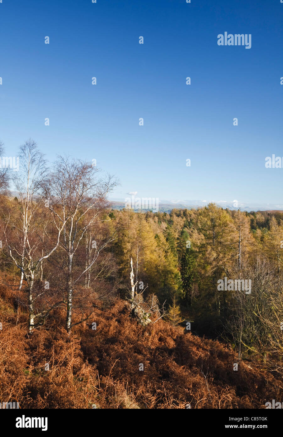 Blue sky and countryside in the Lake District of Cumbria, UK Stock ...