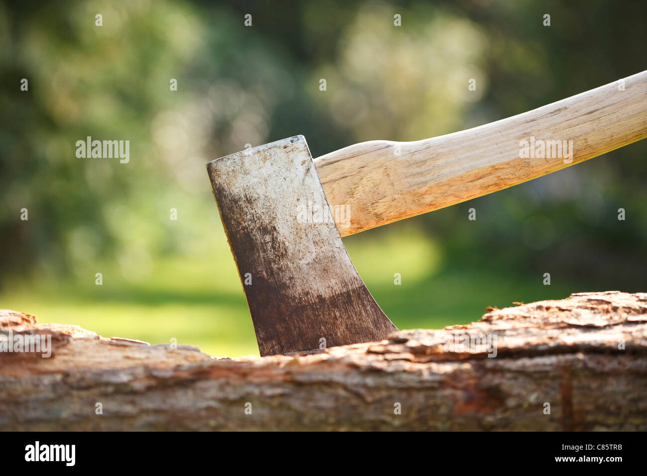 Closeup of a single bit axe with hickory handle Stock Photo - Alamy