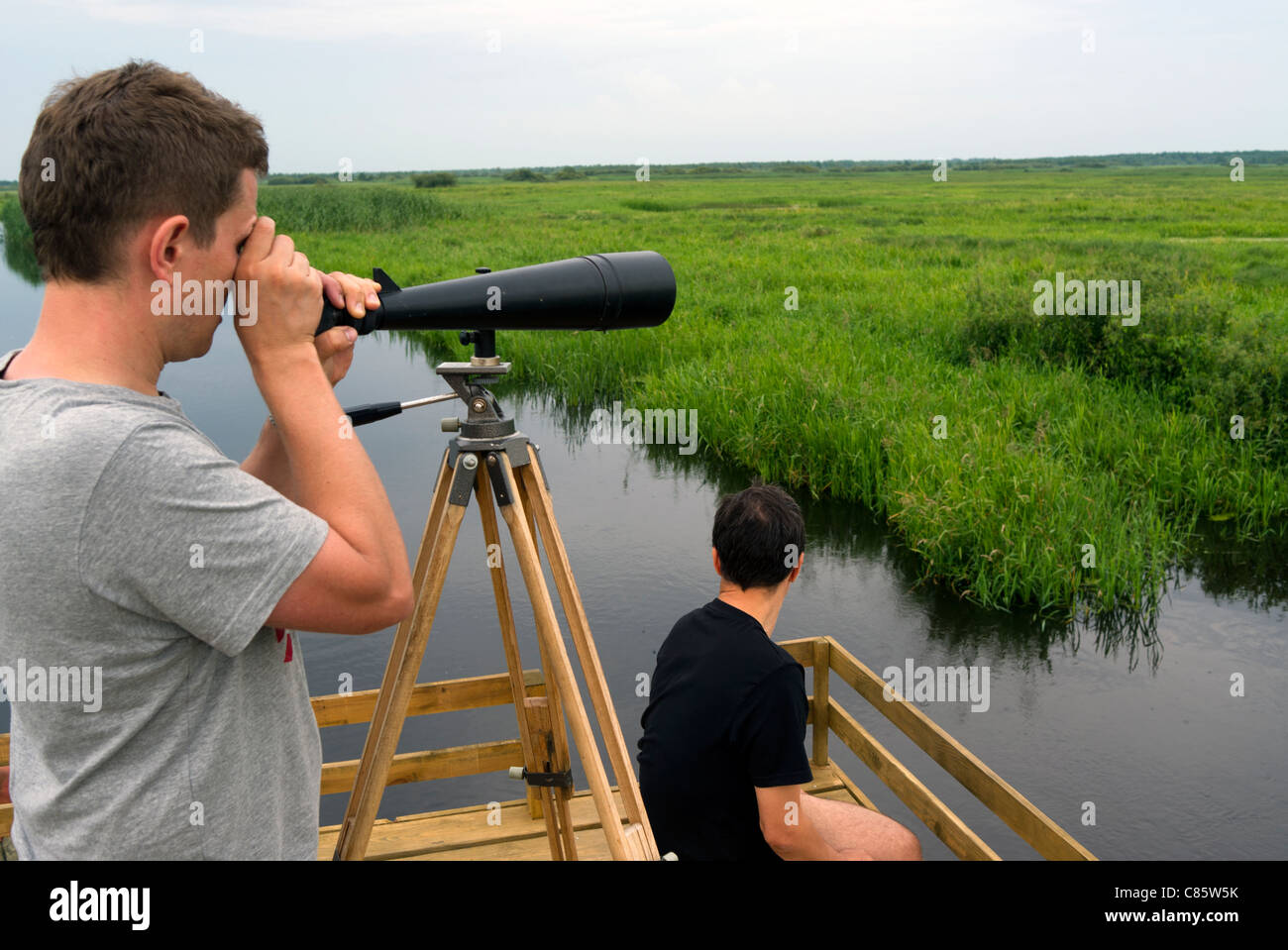 Poland, Biebrza river National Park, bird watching from top deck of a ...