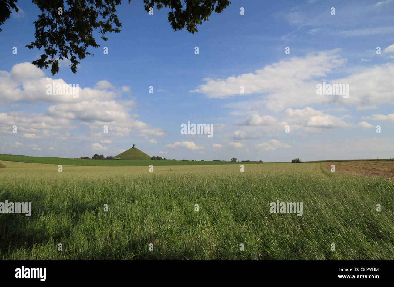 The Waterloo Battlefield viewed from close to the Hougoumont Farm ...