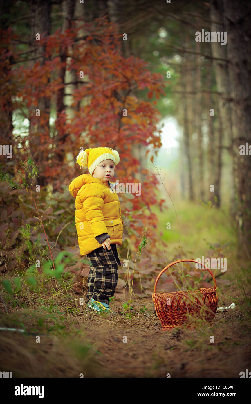 autumn, boy, yellow, leaf, jacket, child, son, sunlight, cold, tree ...
