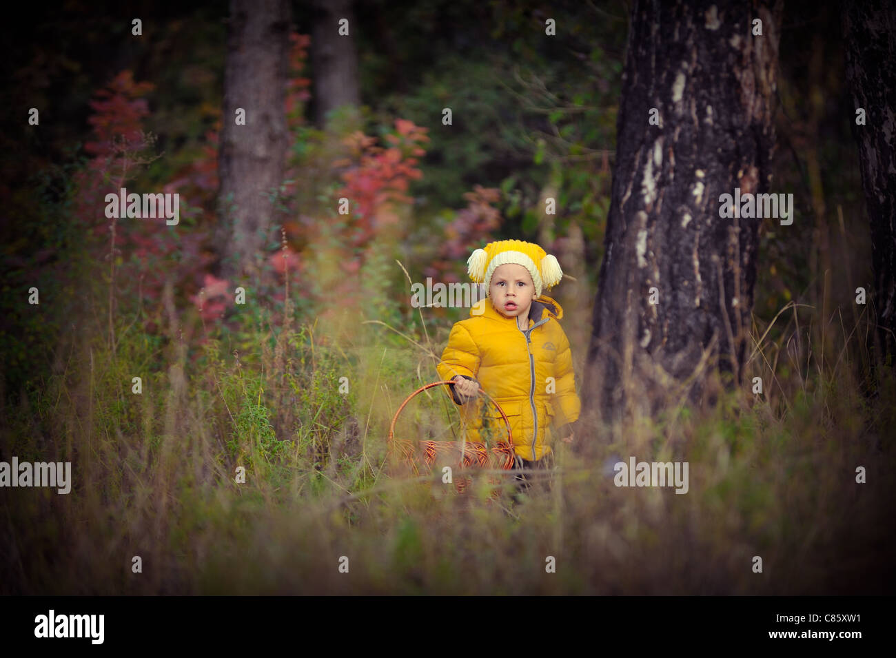 autumn, boy, yellow, leaf, jacket, child, son, sunlight, cold, tree ...