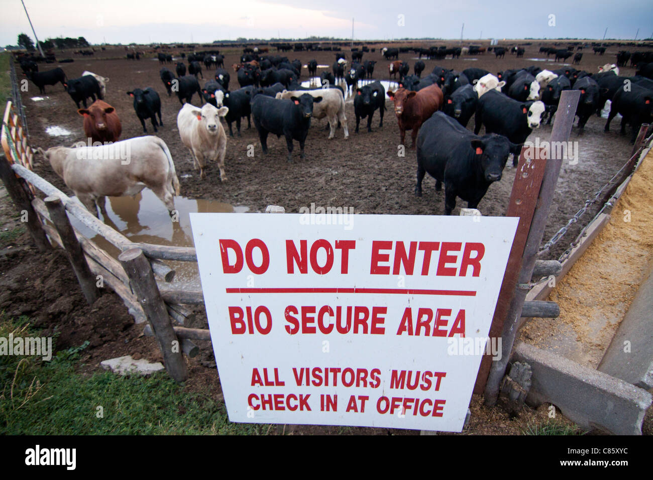 Bio security hi-res stock photography and images - Alamy