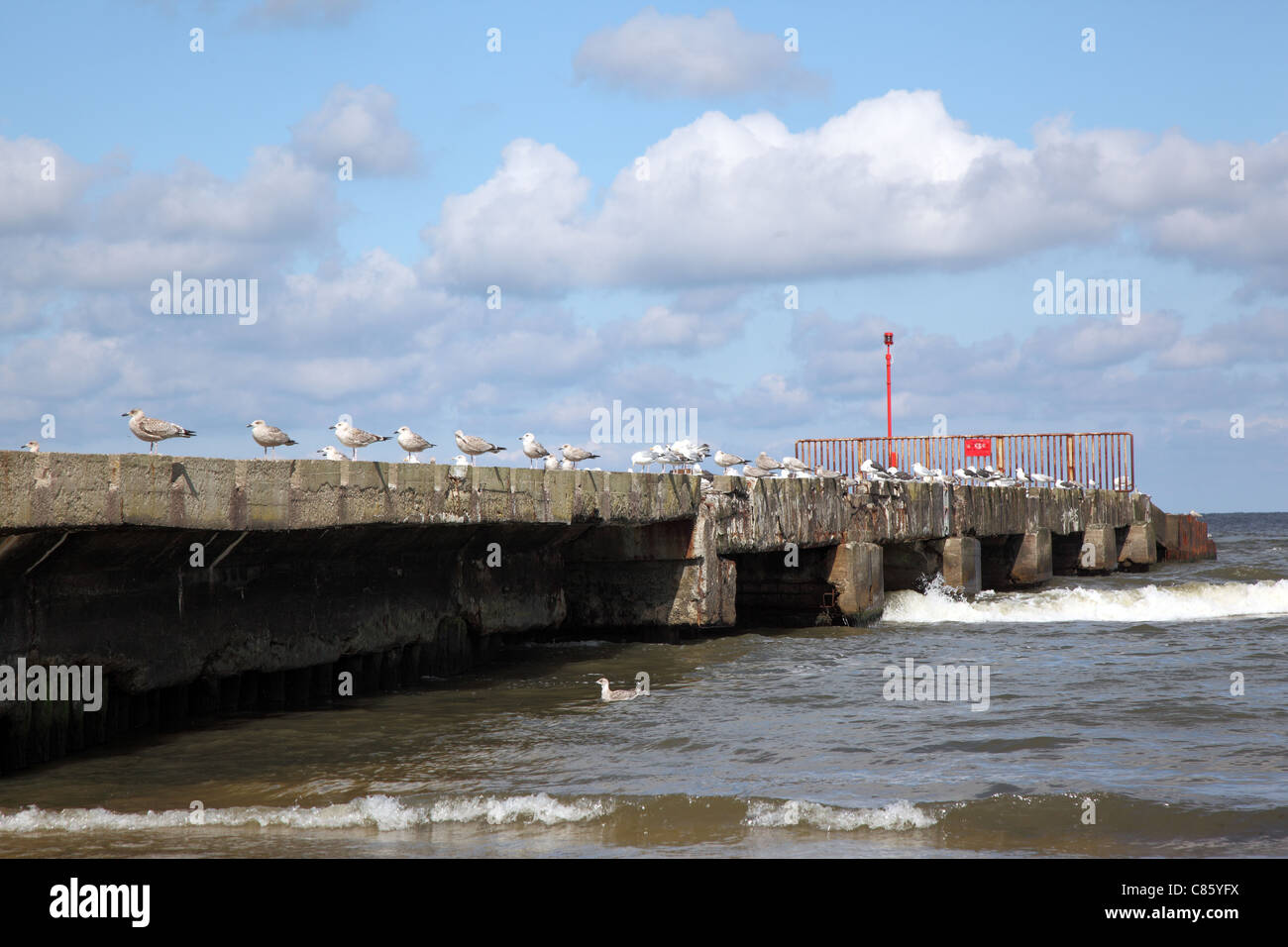 Pier and seagull hi-res stock photography and images - Alamy