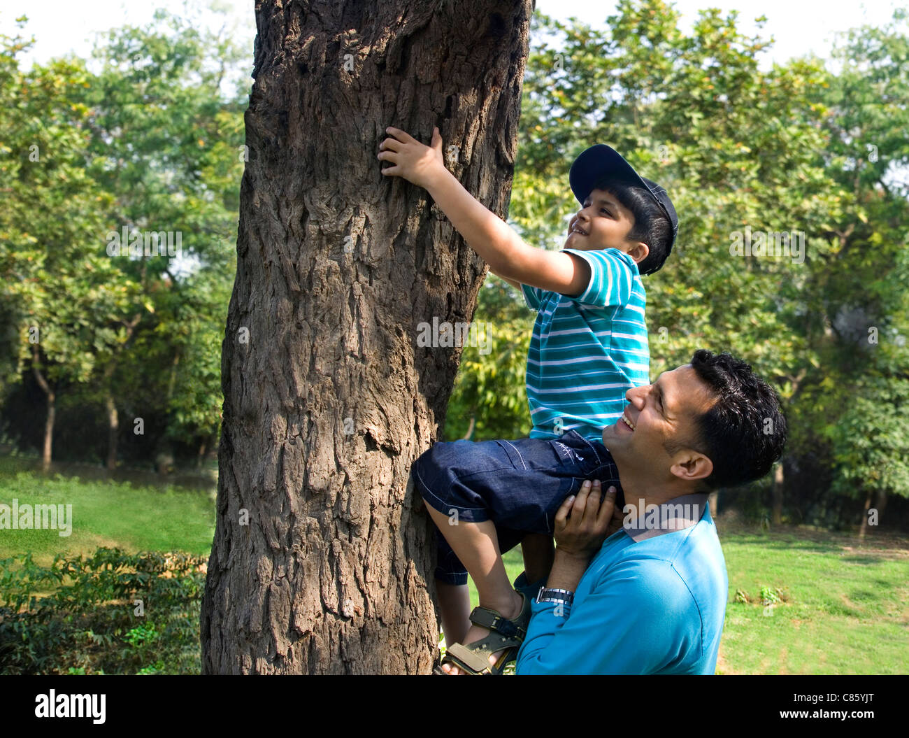Father helping son to climb tree hi-res stock photography and images ...
