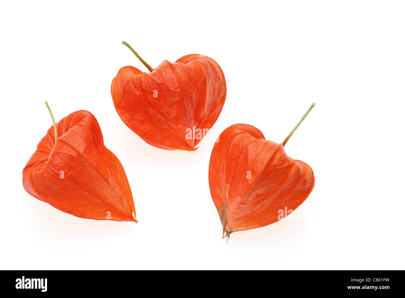 Close up view baroque Cut Out Stock Images & Pictures - Alamy