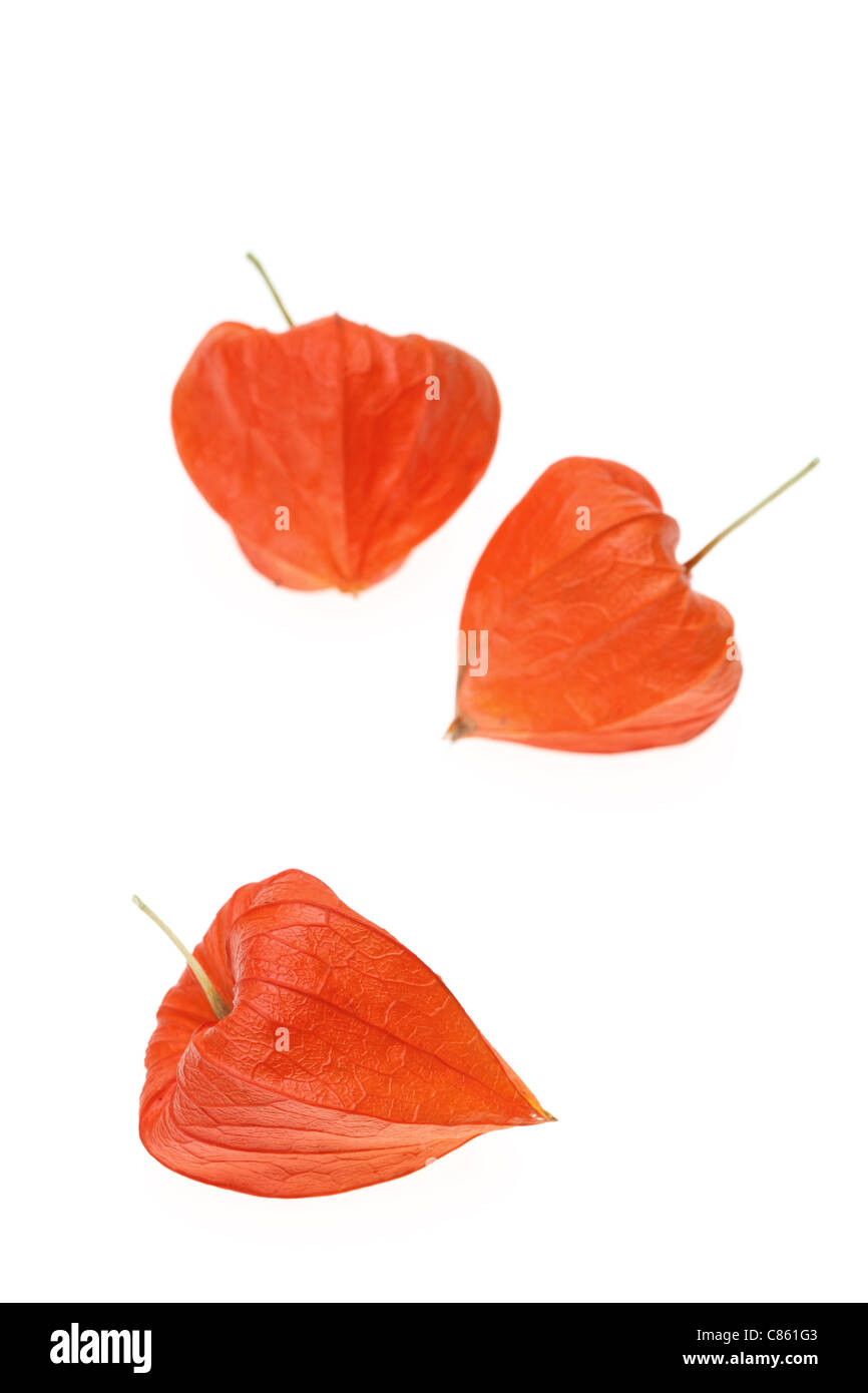 Close up view baroque Cut Out Stock Images & Pictures - Alamy