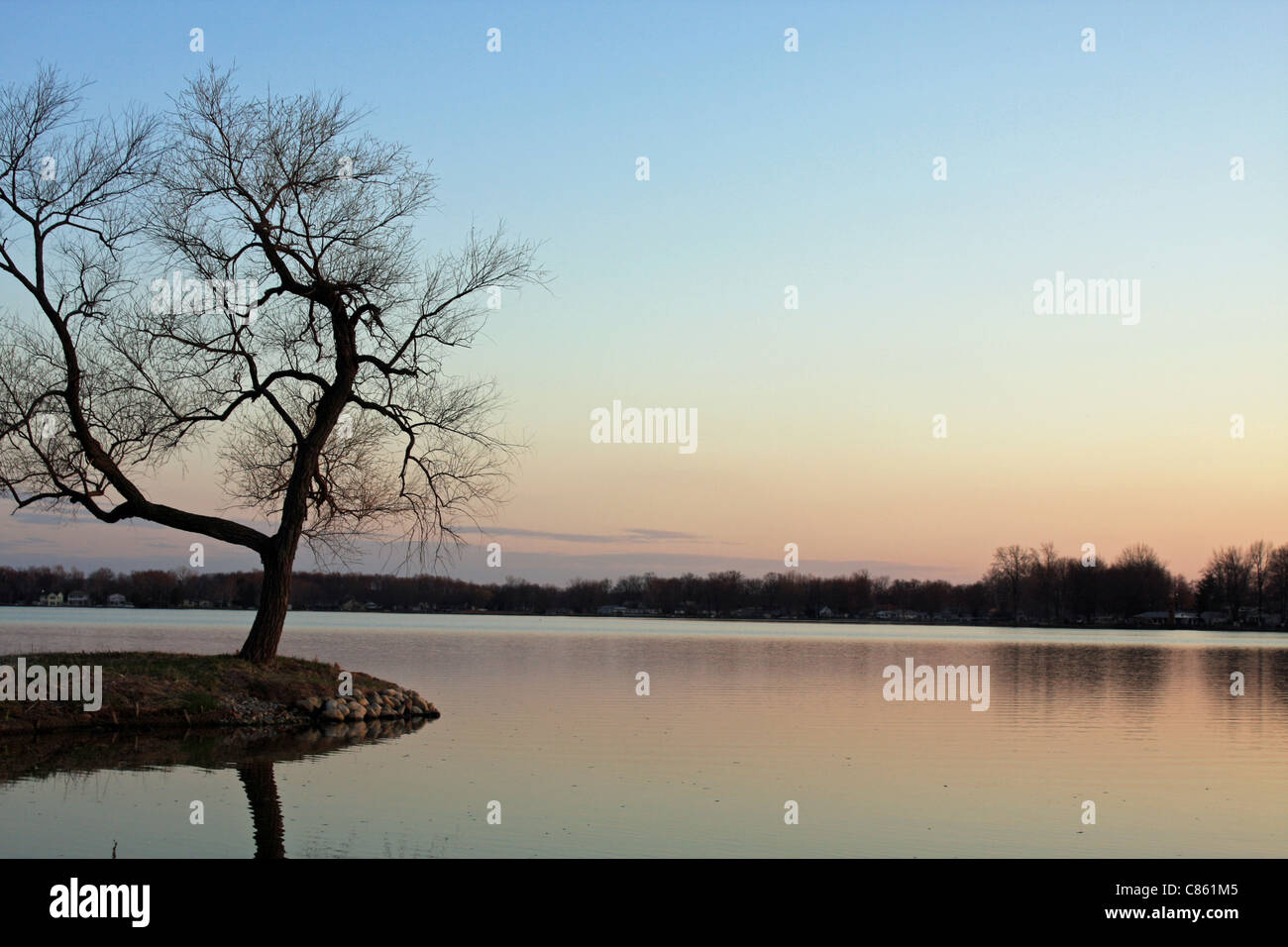 A lone tree on a lake scene Stock Photo - Alamy