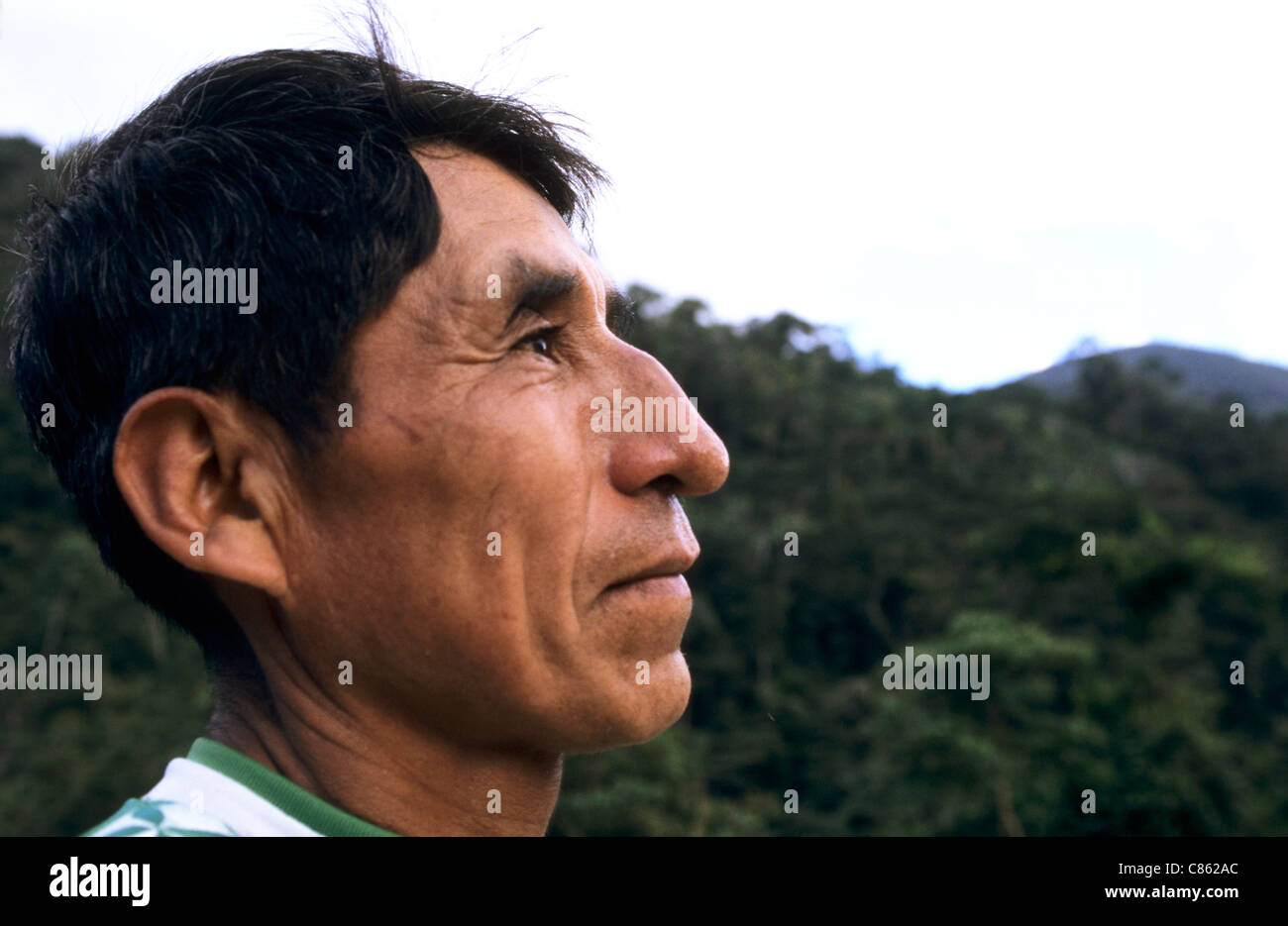 Hooked noses hi-res stock photography and images - Alamy