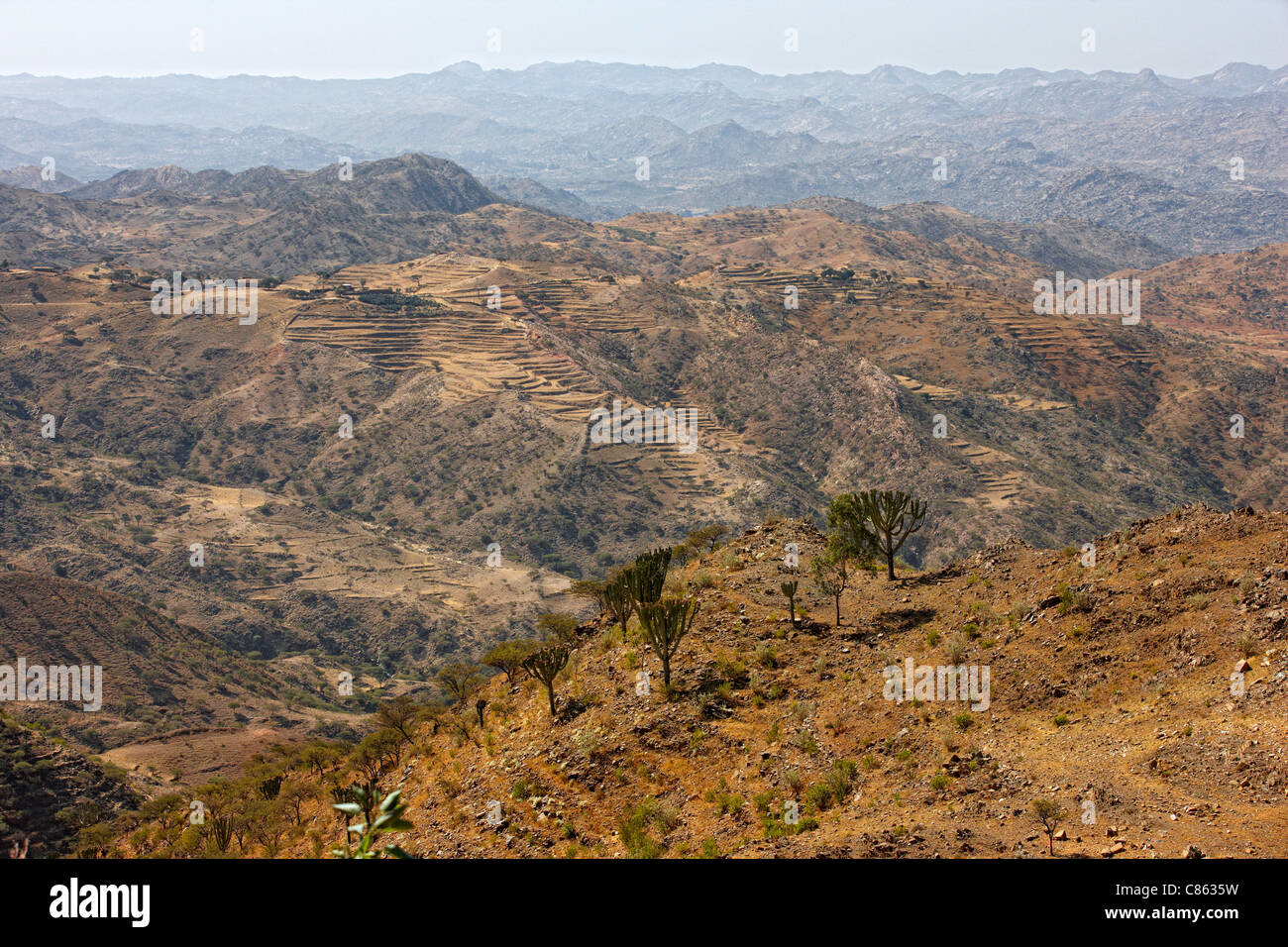 Eritrean Highlands, Africa Stock Photo - Alamy