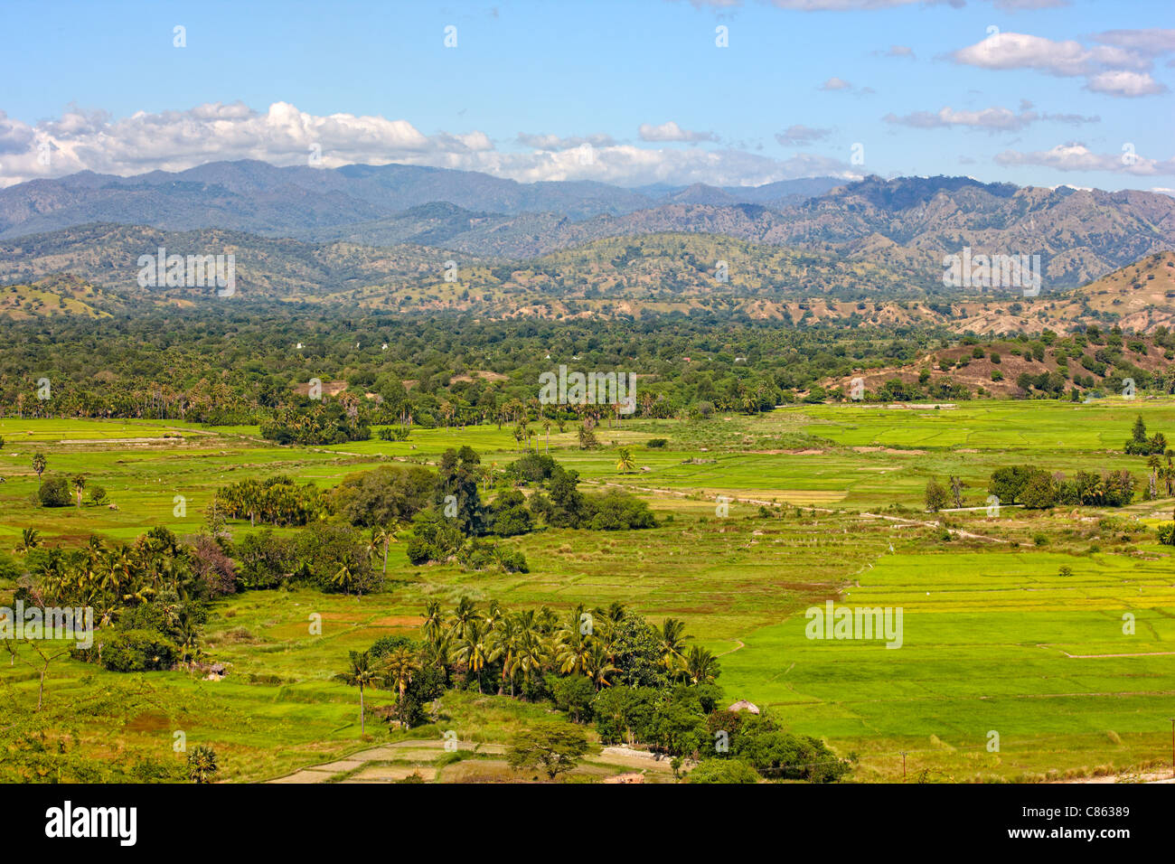 Manatuto hi-res stock photography and images - Alamy