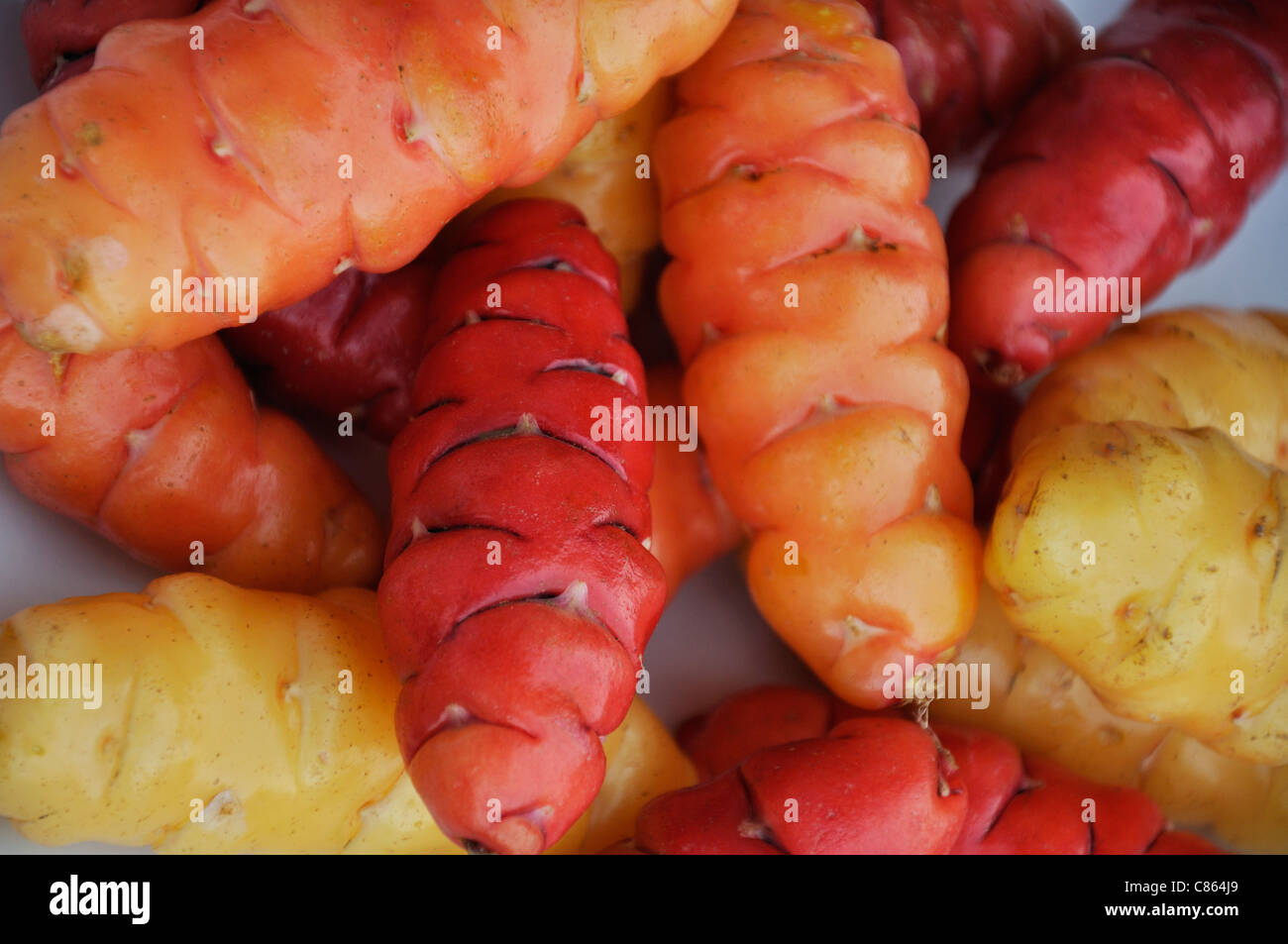 Oca oxalis tuberosa hi-res stock photography and images - Alamy