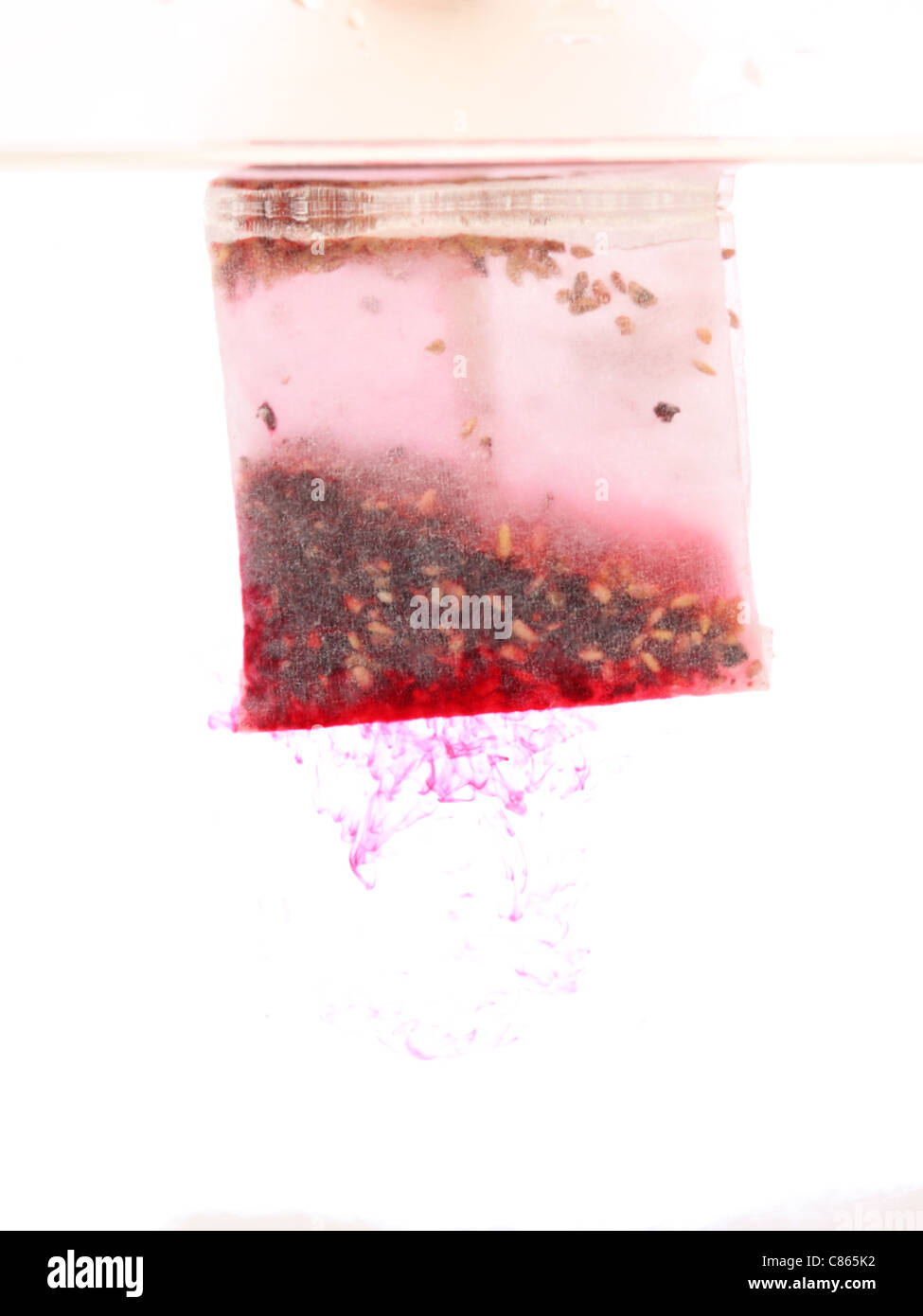 red Teabag in hot water in white background Stock Photo - Alamy
