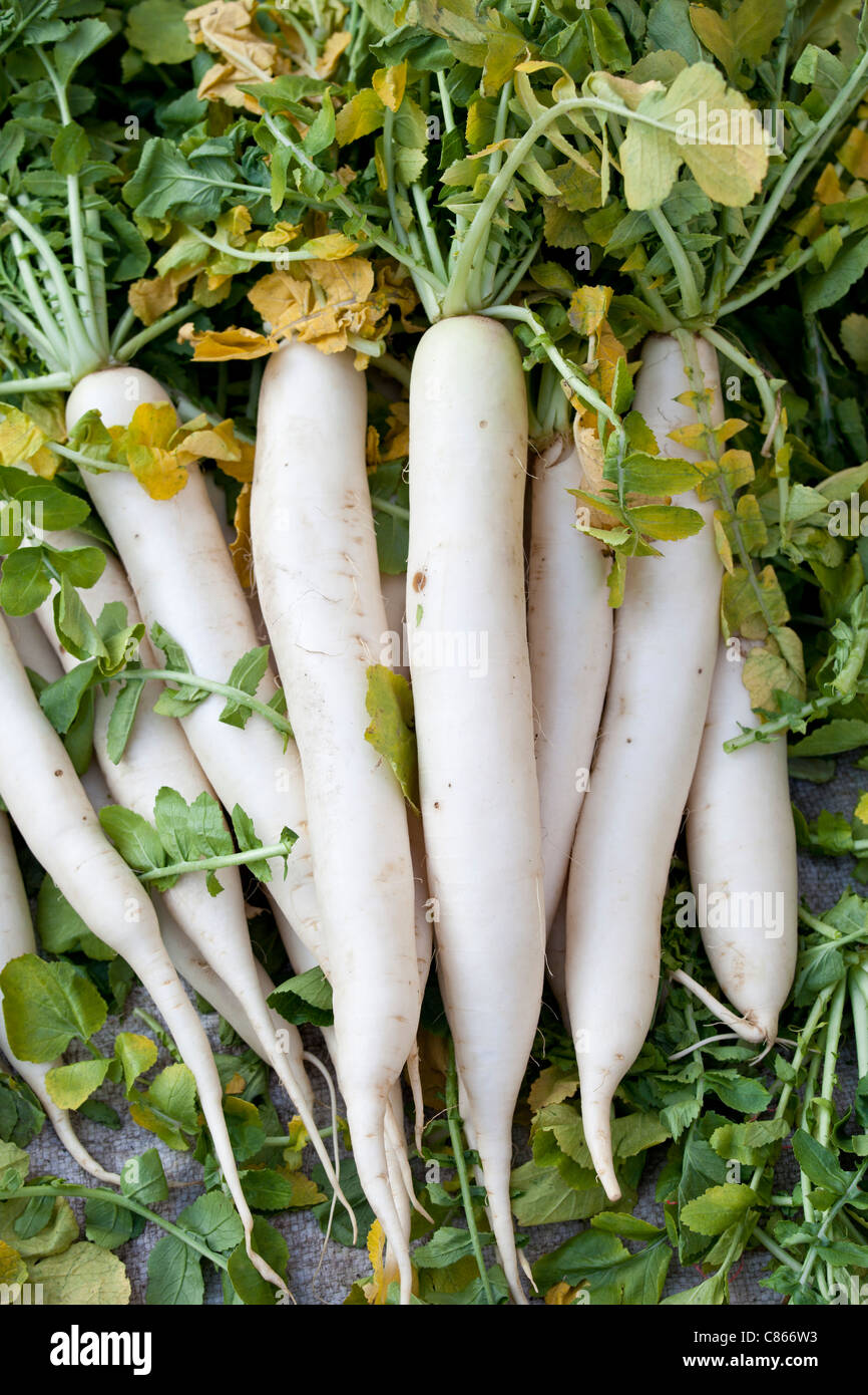 Indian Vegetables List