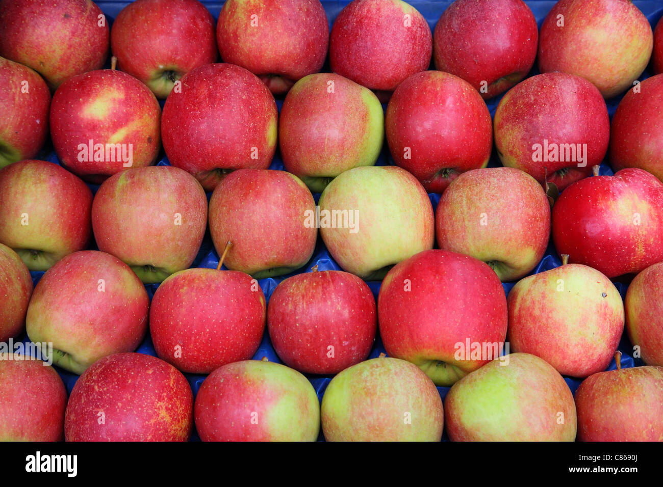 Red and juicy hi-res stock photography and images - Alamy
