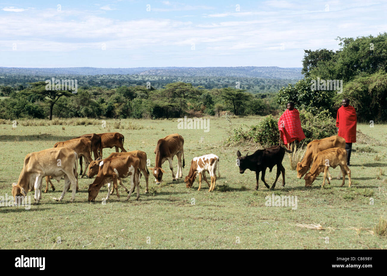 Maasai Herdsmen High Resolution Stock Photography and Images - Alamy