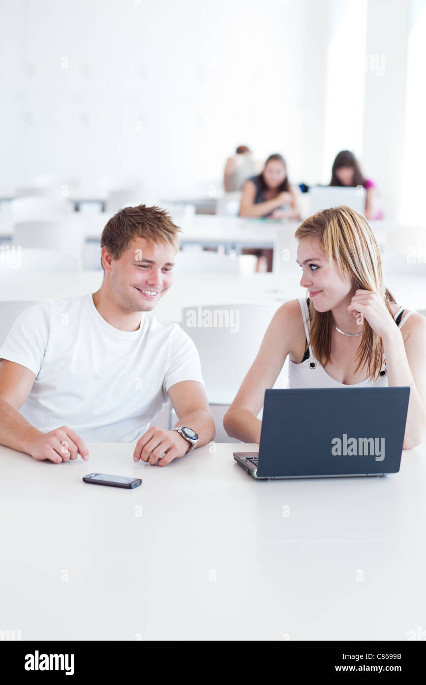 Two college students studying together in a university library/study ...