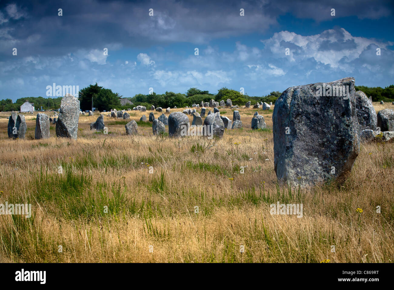 Carnac stones. Carnac village. Morbihan department, Brittany, France ...
