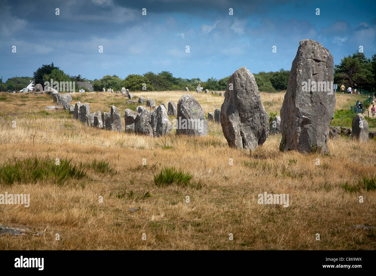 Carnac stones. Carnac village. Morbihan department, Brittany, France ...