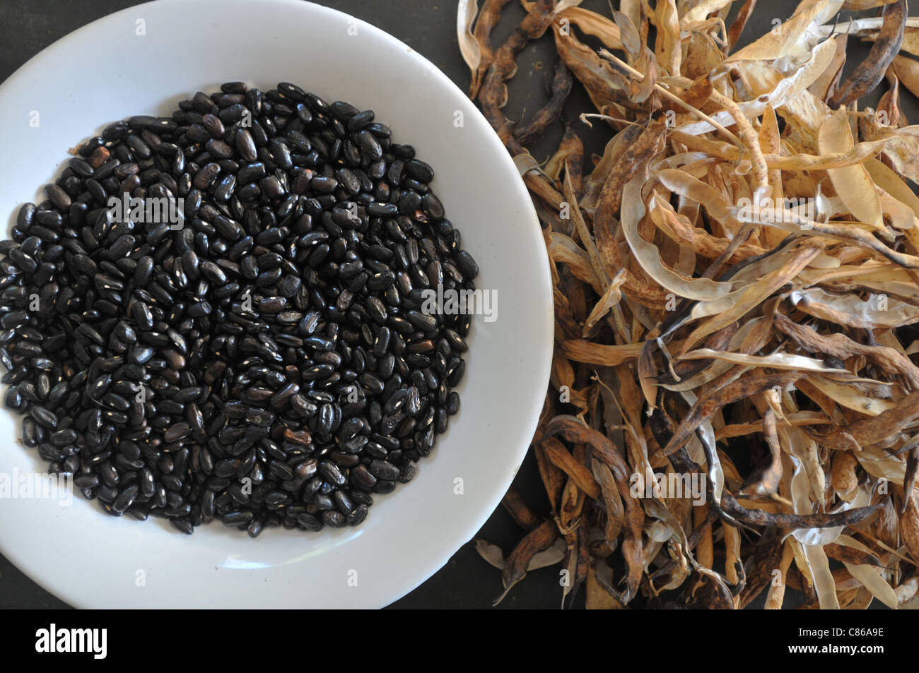 Dried French beans in a bowl alongside the dried pods Stock Photo - Alamy