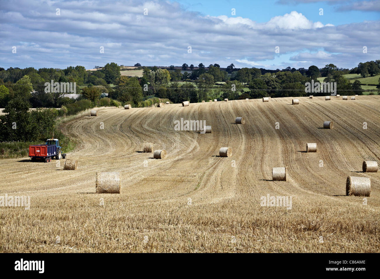 English rural scenes hi-res stock photography and images - Alamy