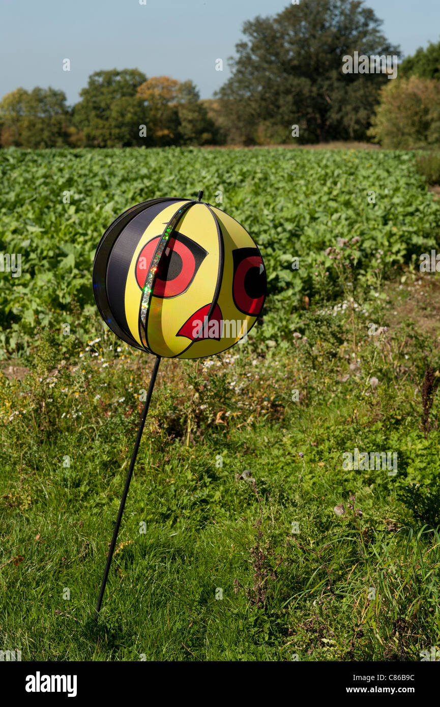 Modern scarecrow hi-res stock photography and images - Alamy