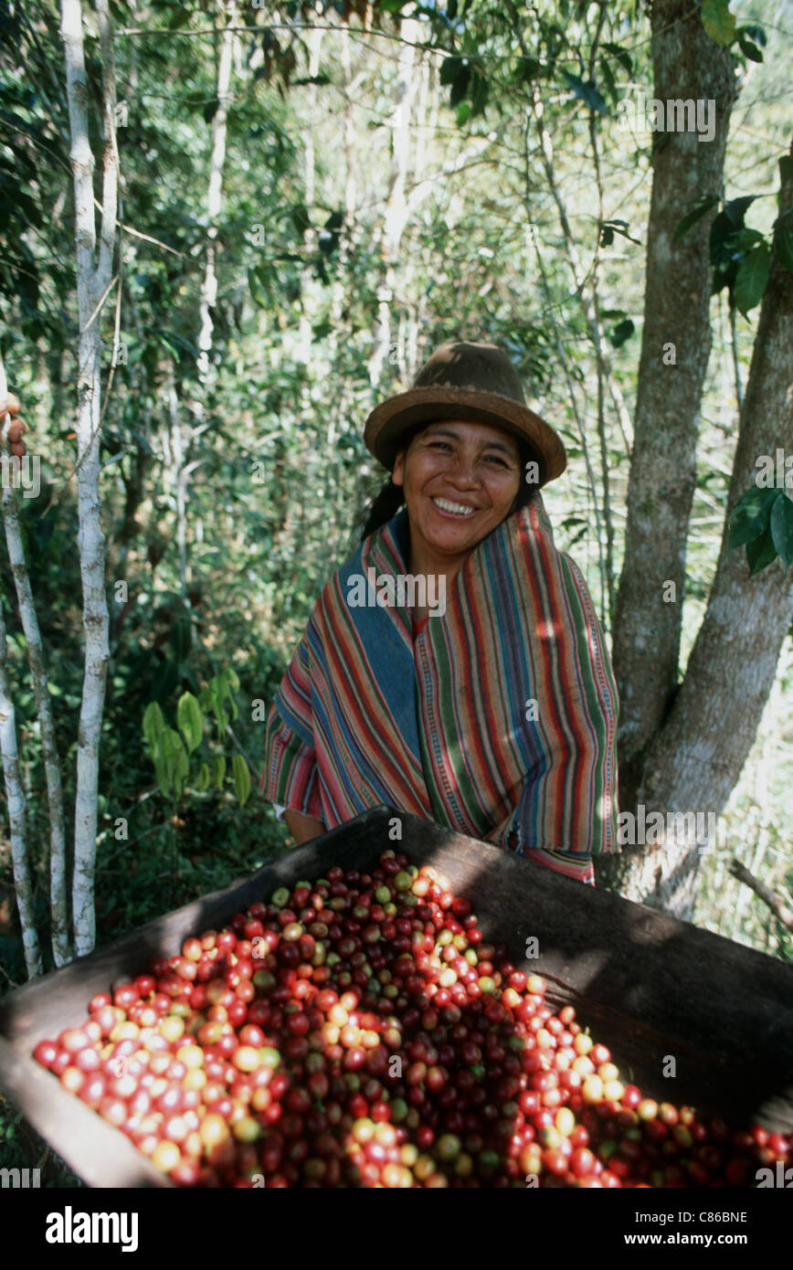 Small scale farming peru hi-res stock photography and images - Alamy
