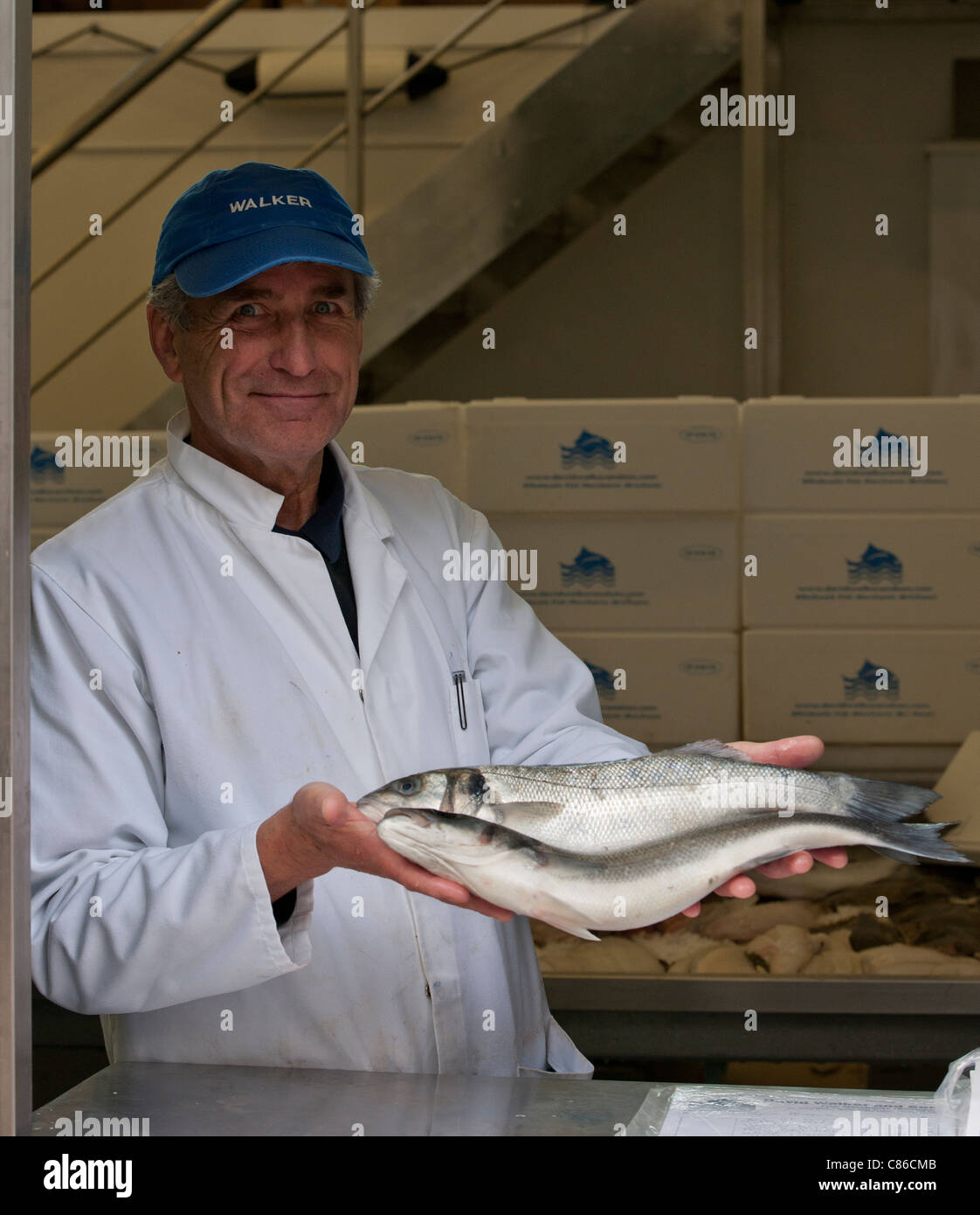 Brixham fish hi-res stock photography and images - Alamy