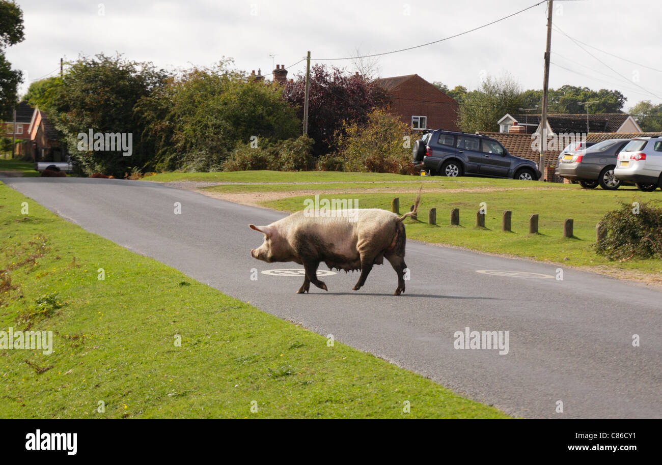 Unfenced roads hi-res stock photography and images - Alamy