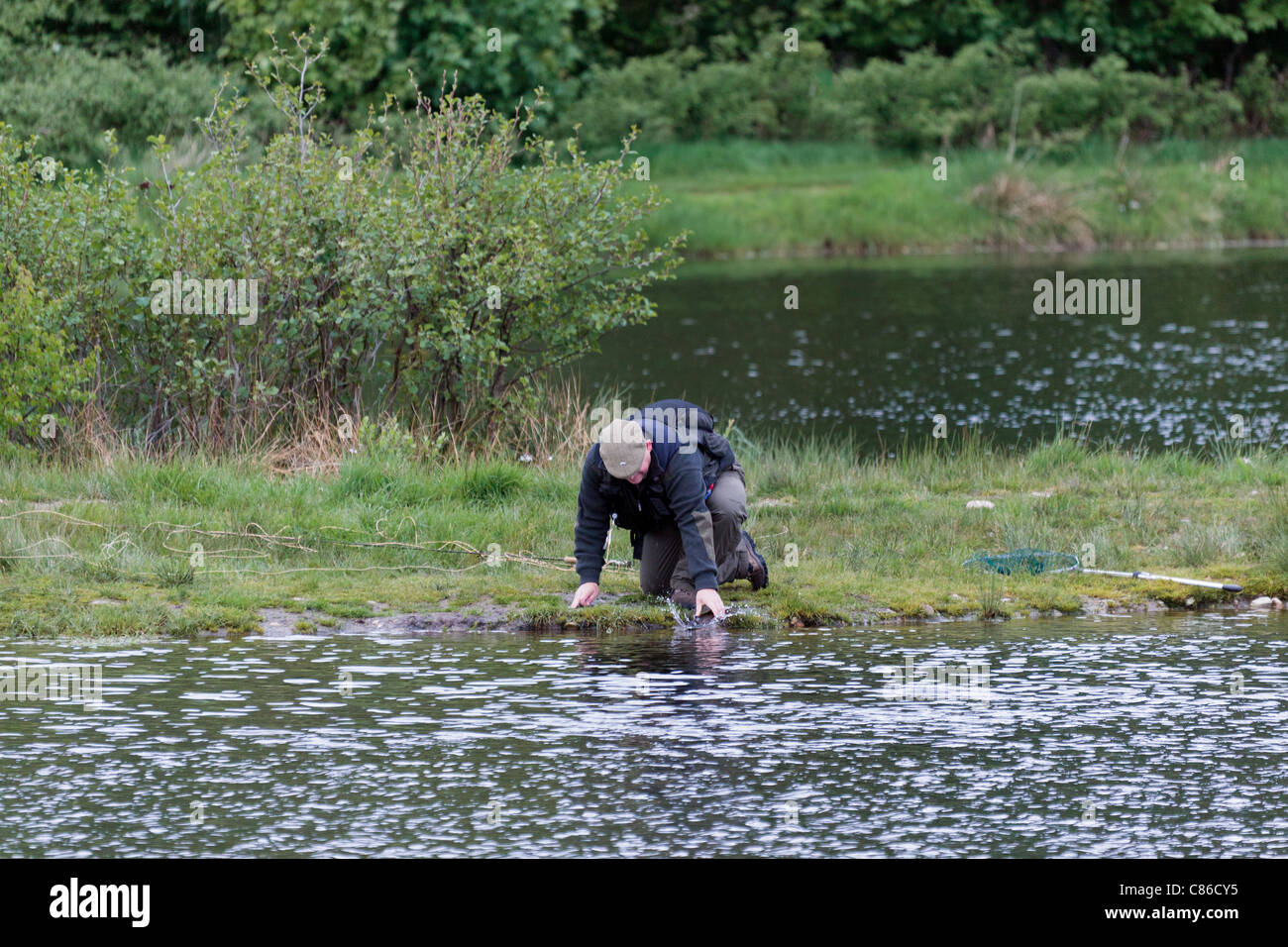Letting the fish go Stock Photo - Alamy