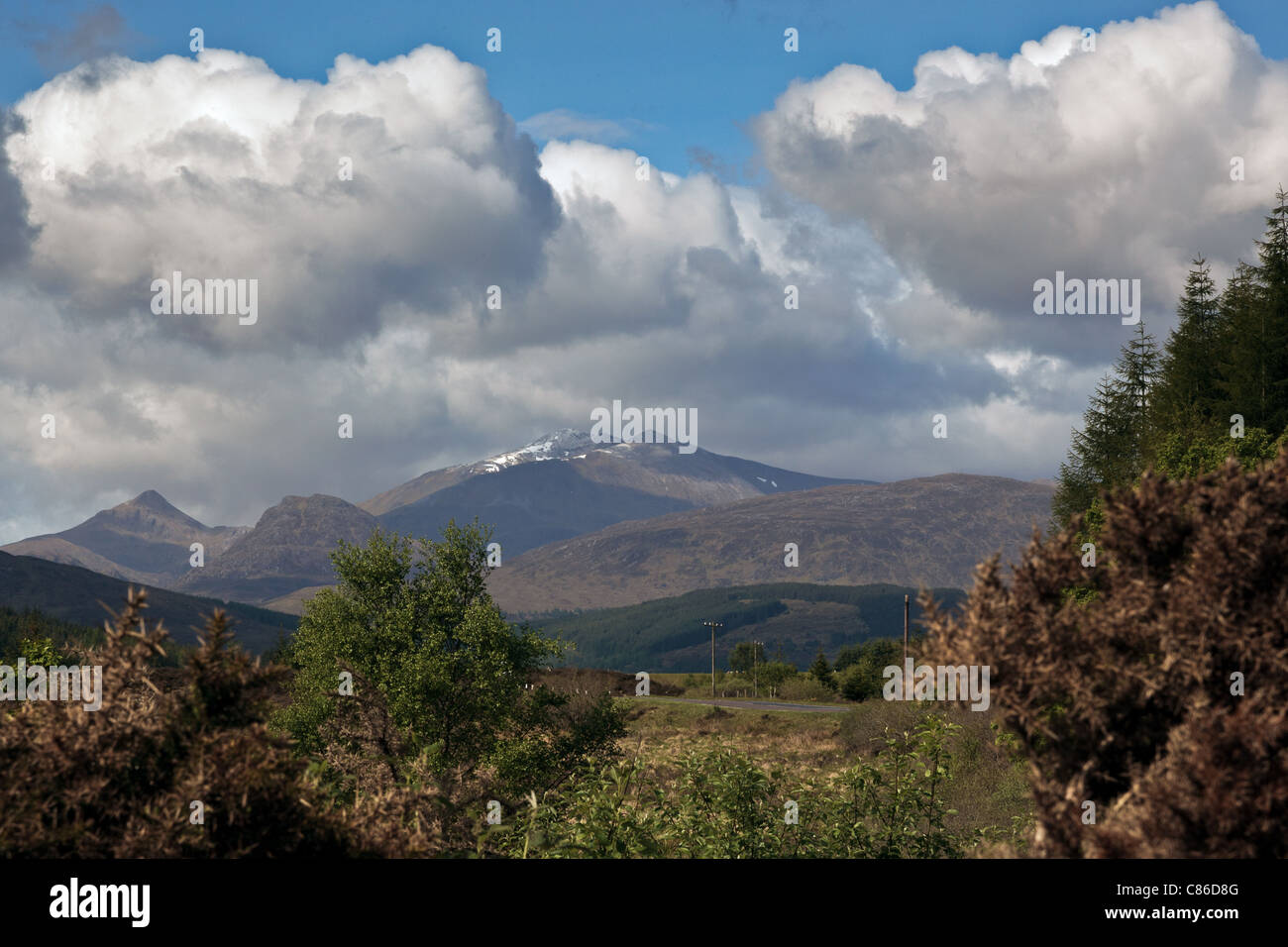 View from Loch Laggan towards Ben Nevis Stock Photo - Alamy