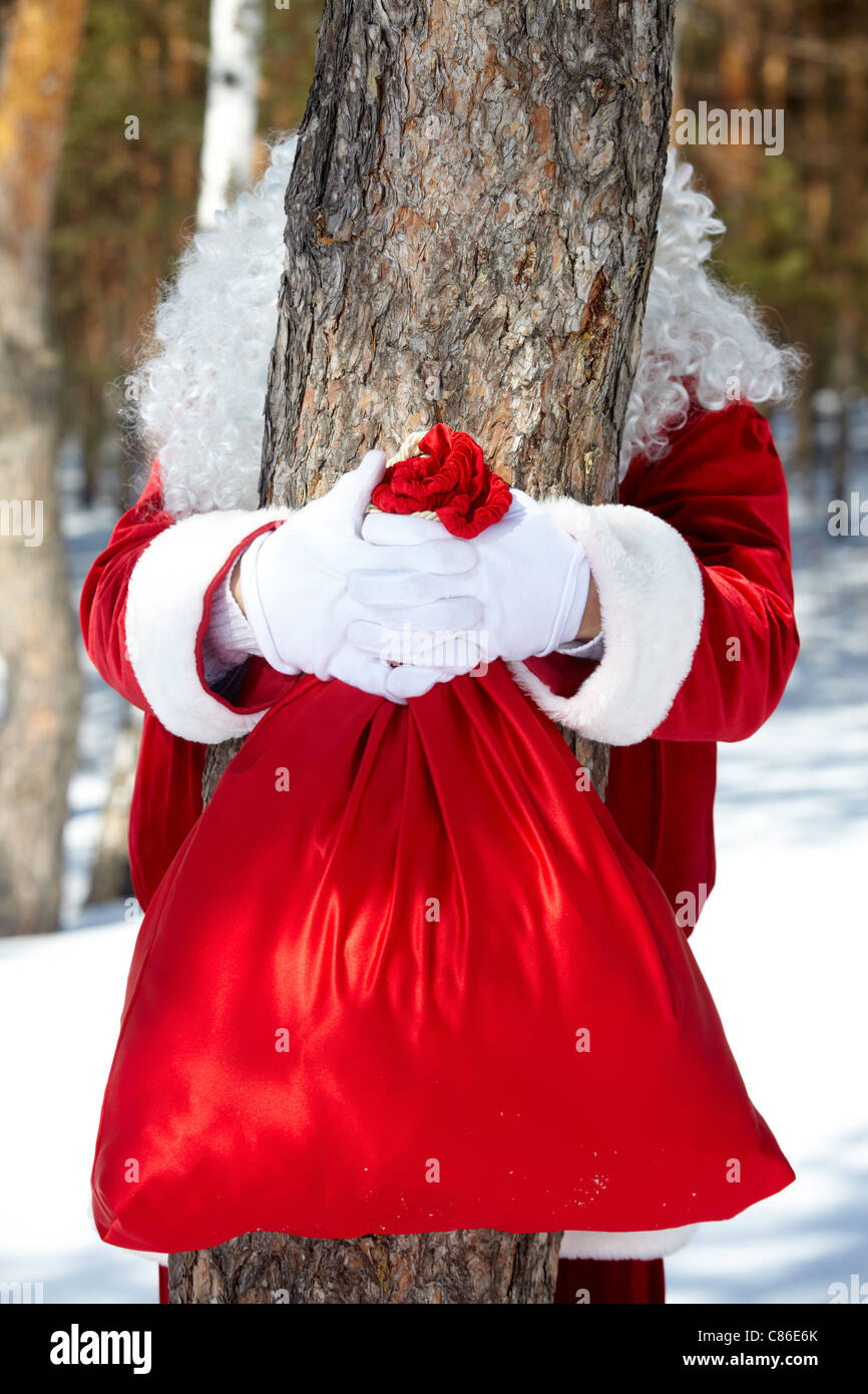 Santa Claus hiding behind a tree and holding sack with presents in ...