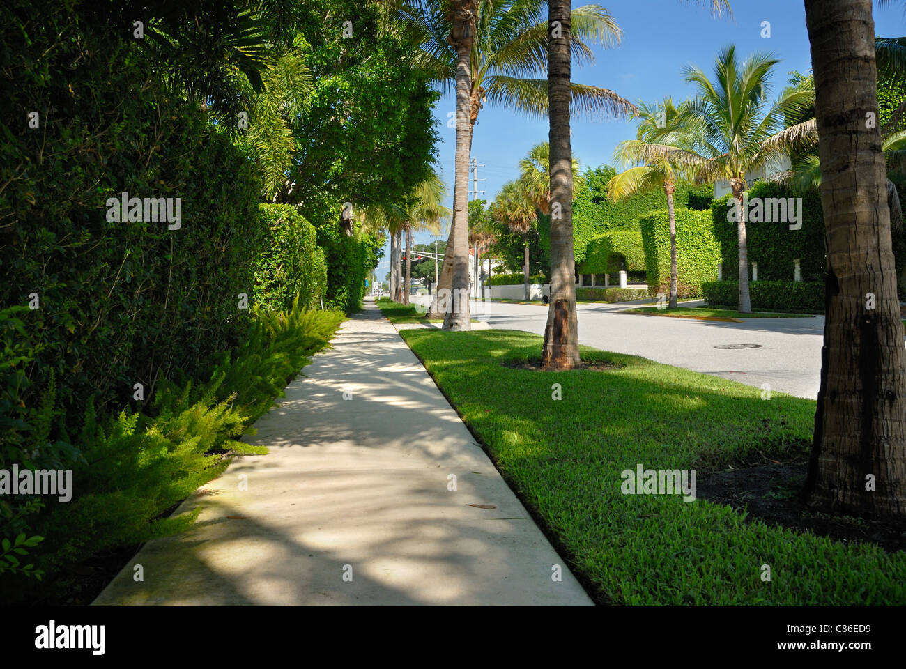 Sidewalk and shrubbery in Palm Beach, Florida, USA Stock Photo - Alamy