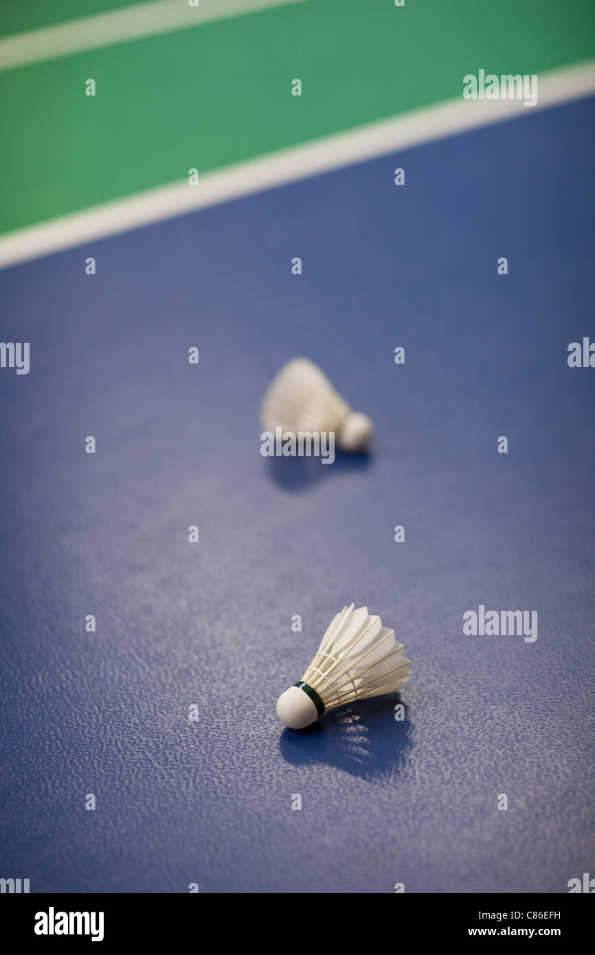 badminton - badminton courts with two shuttlecocks (shallow DOF; color ...