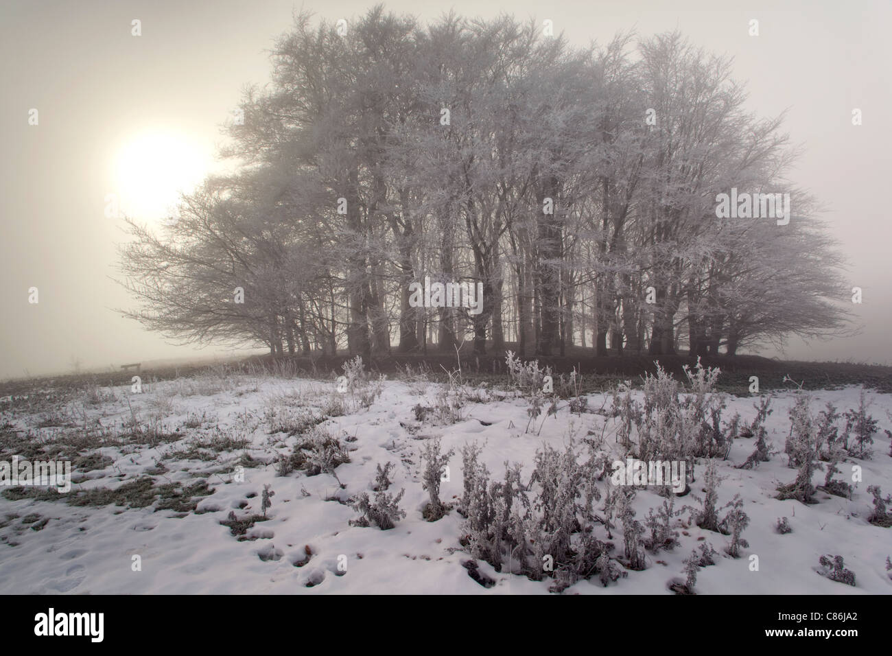 Win Green Hill Wiltshire High Resolution Stock Photography and Images ...