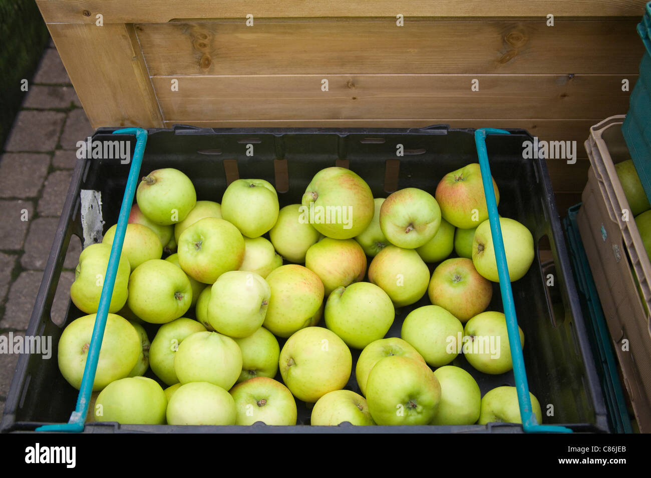 UK Bramley Cooking apples for sale on a market stall Stock Photo - Alamy