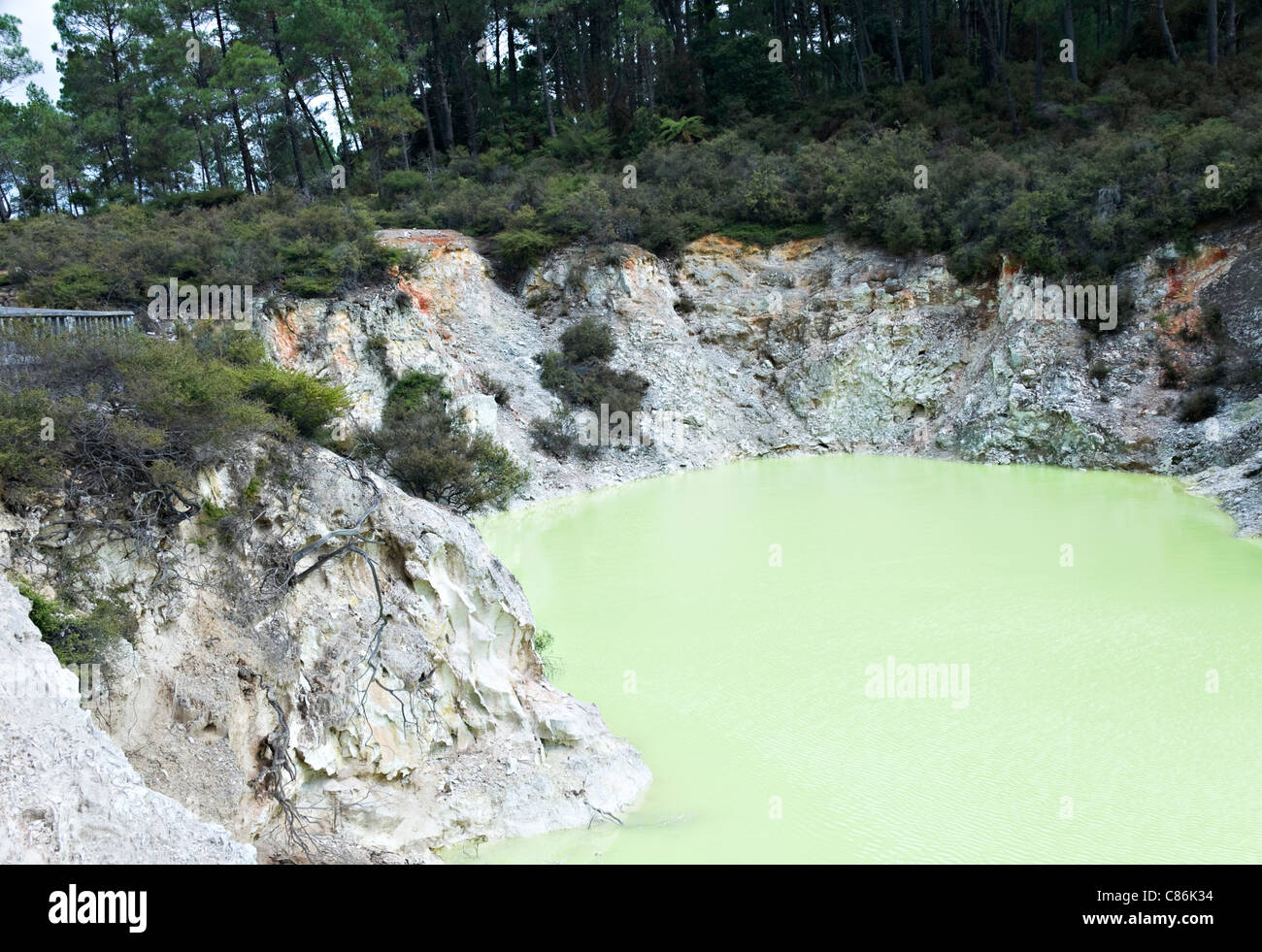 The Green Waters of Devil's Bath Crater at Wai-O-Tapu Thermal ...