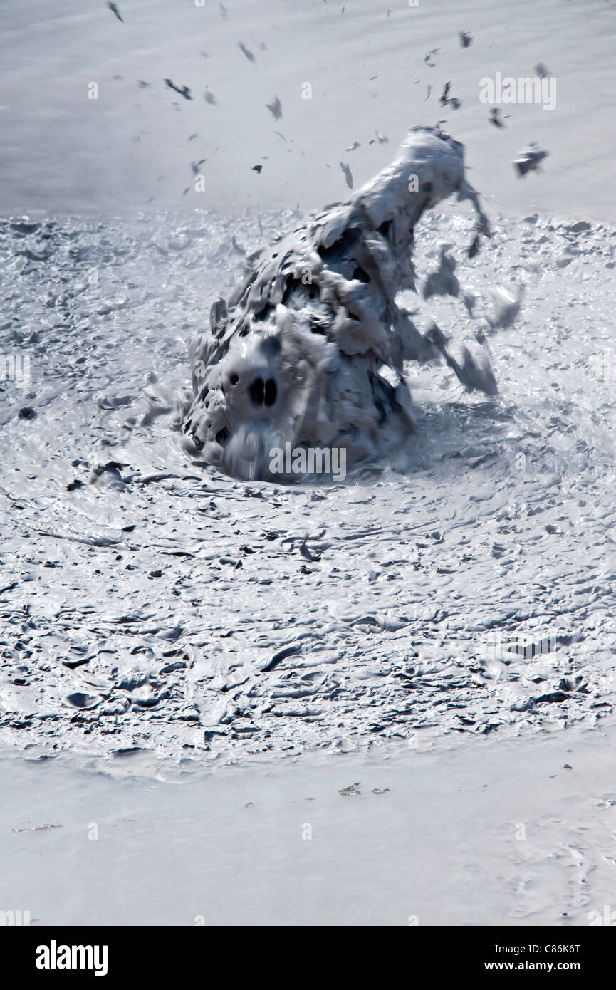 Steaming Mud Pool Erupting near The Wai-O-Tapu Thermal Wonderland ...
