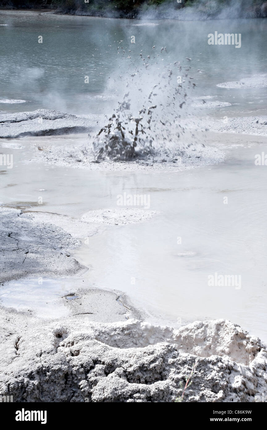 Steaming Mud Pool Erupting near The Wai-O-Tapu Thermal Wonderland ...