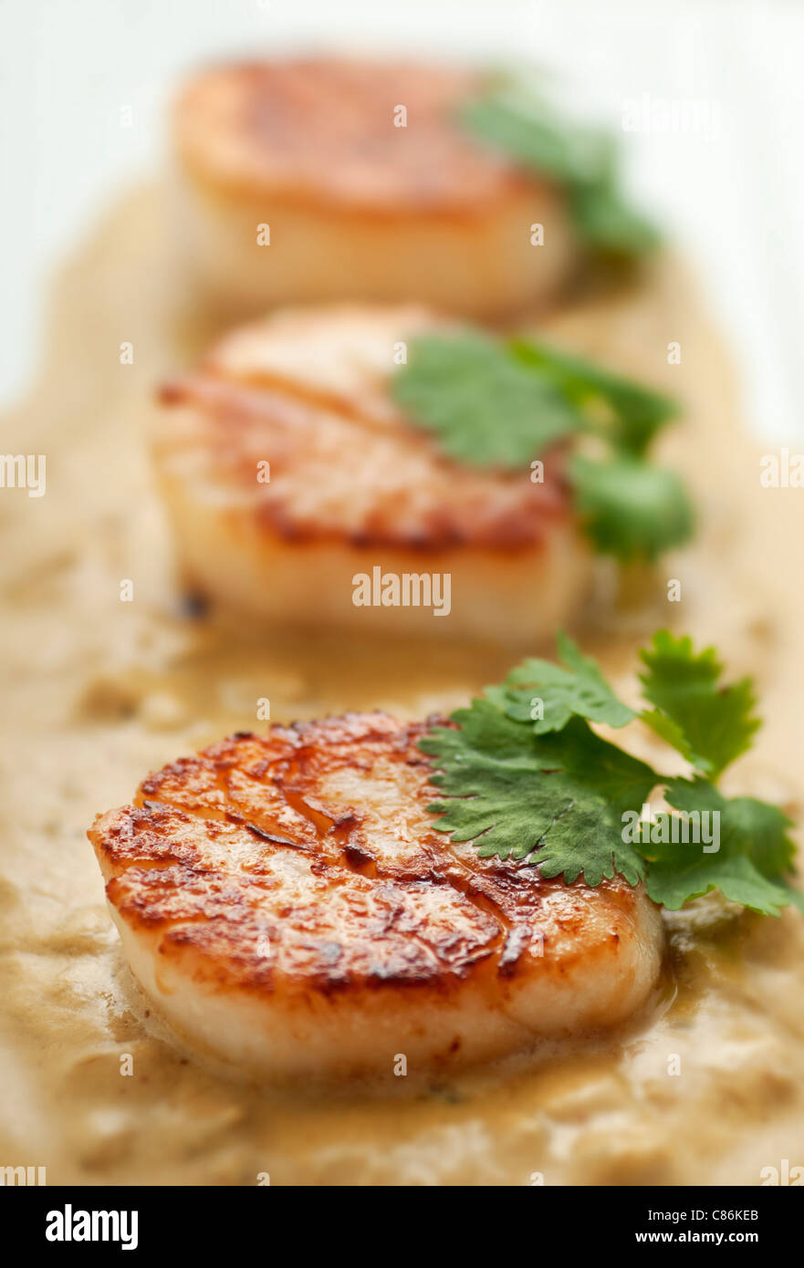 Starter sauce hi-res stock photography and images - Alamy