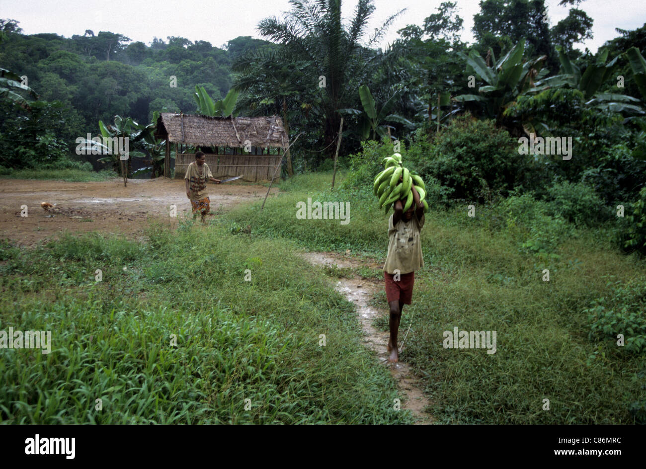Baka pygmy hi-res stock photography and images - Alamy