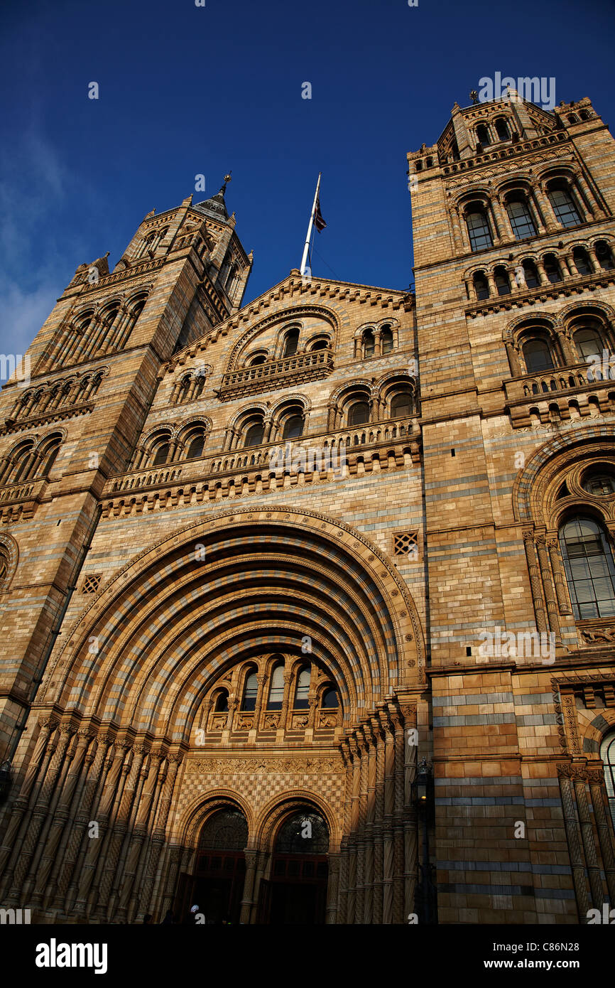 Exterior view of London's Natural history museum building Stock Photo ...
