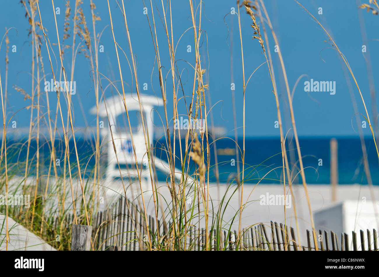A scene on the Alabama Gulf Coast Stock Photo - Alamy