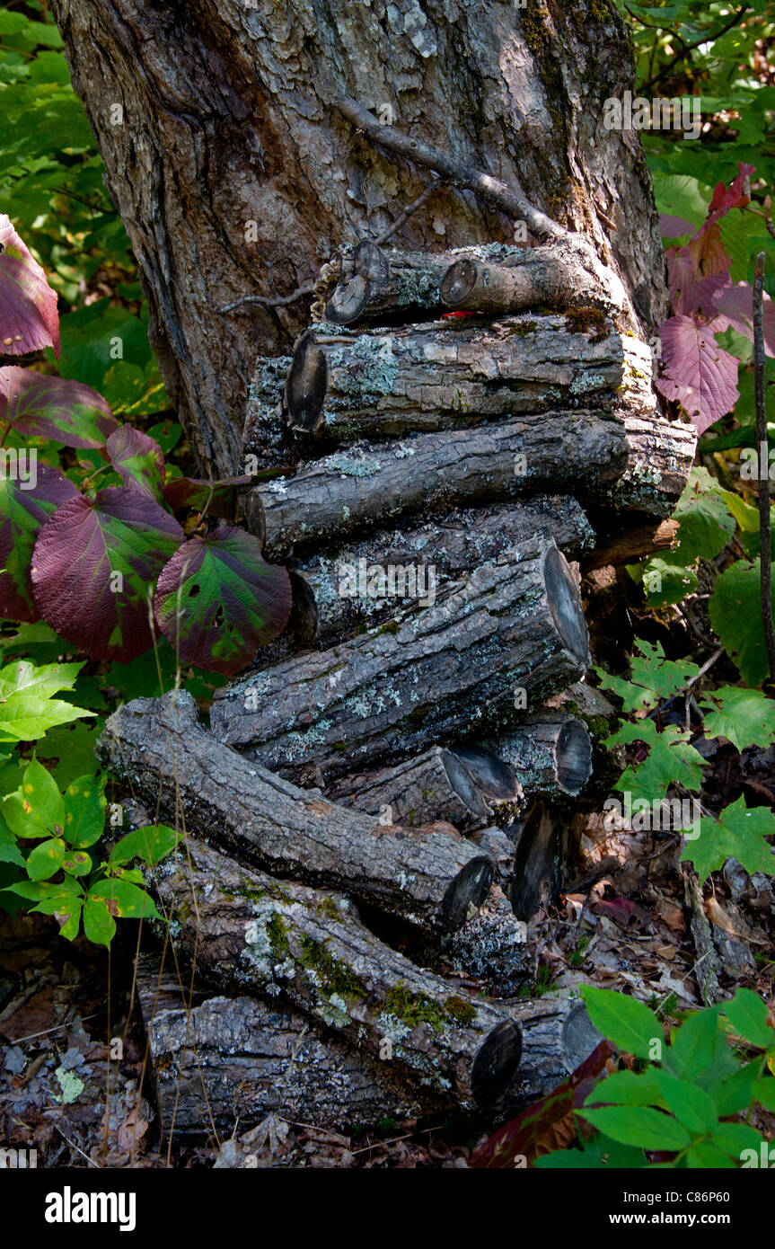 A pile of firewood, lac des Iles, Quebec Stock Photo - Alamy