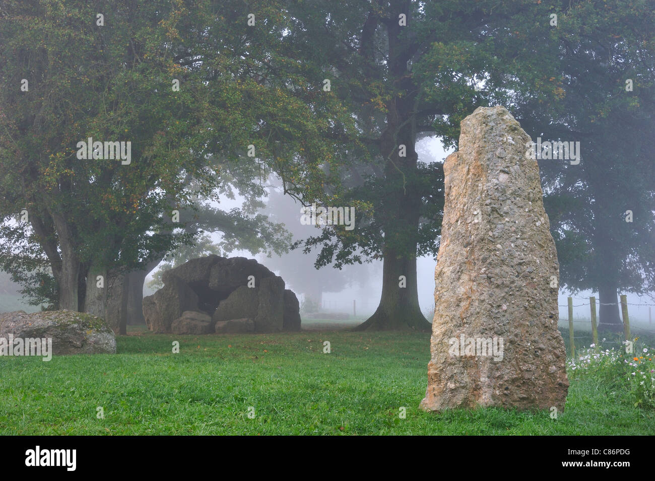 Megalithic dolmen hi-res stock photography and images - Alamy